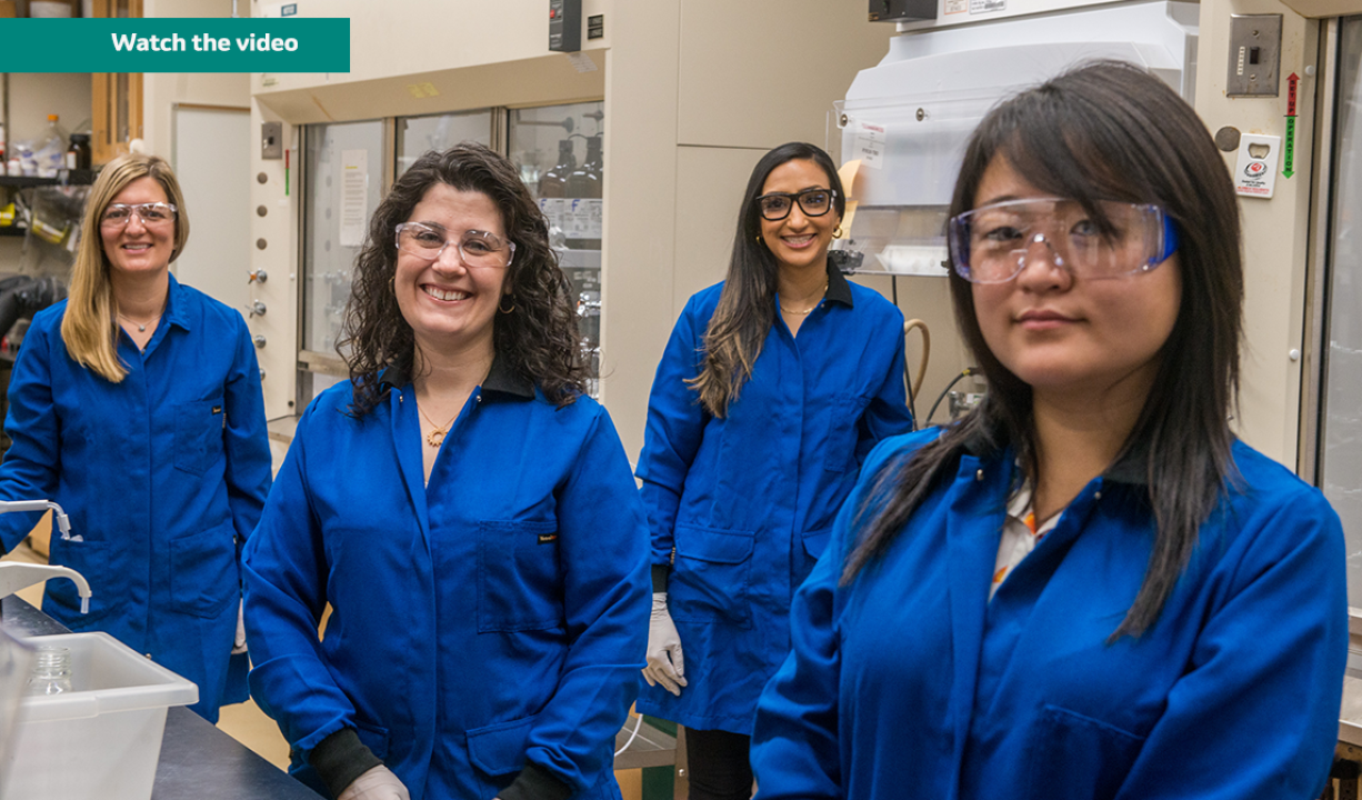 Culture & values - MSD