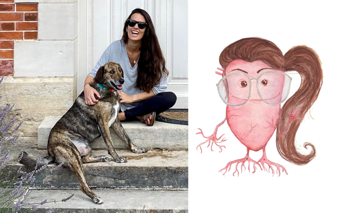 Culture & values - MSD