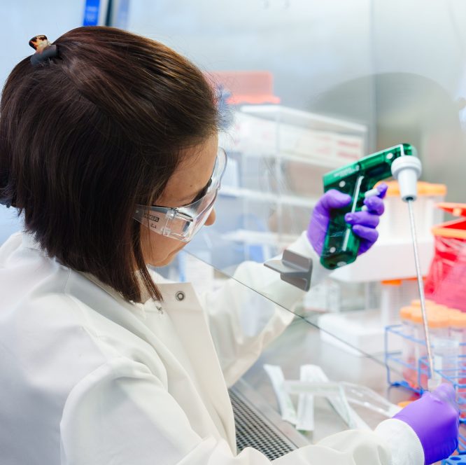 Discovery & development - MSD